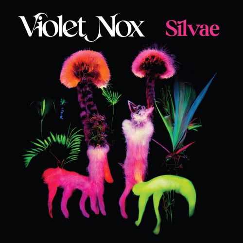 Musikmagazin, Violet Nox - Silvae